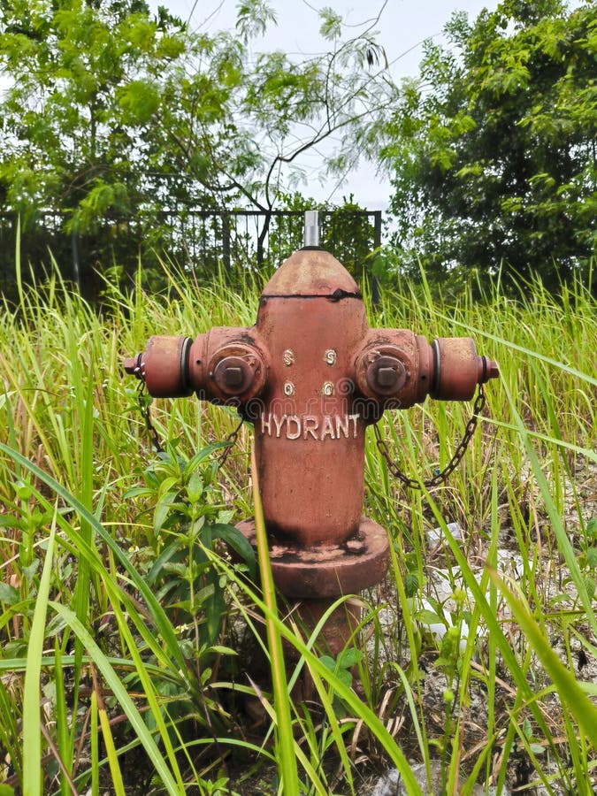 A rusty red fire hydrant stock photo. Image of lawn - 356094790