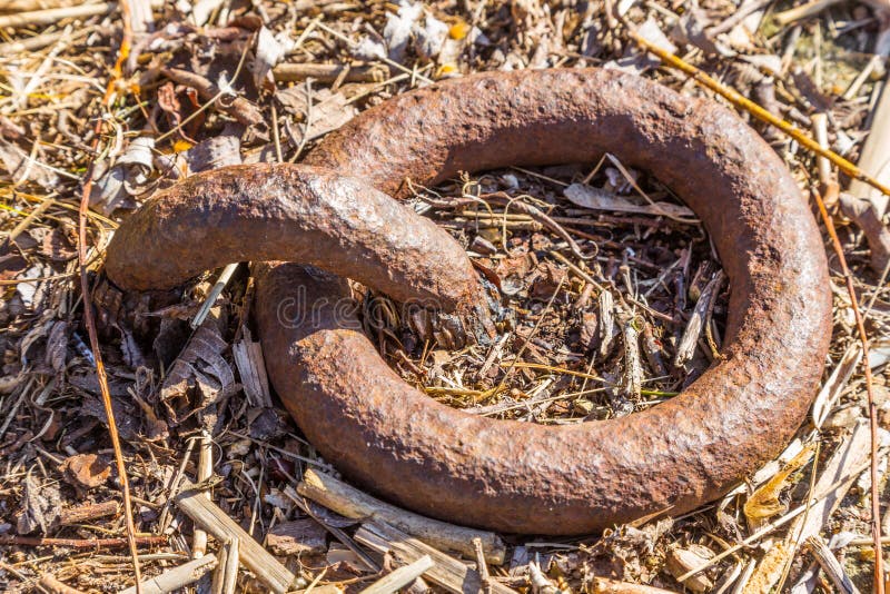 Rusty ring stock photo. Image of withered, wood, dried - 52217668