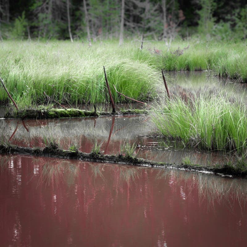 Rusty river stock image. Image of unreal, sedge, vegetation - 36449885