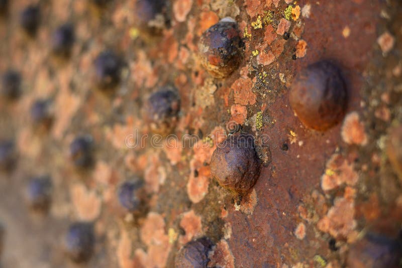 Rusty Rivets stock image. Image of bridge, rivets, rusty - 73784611