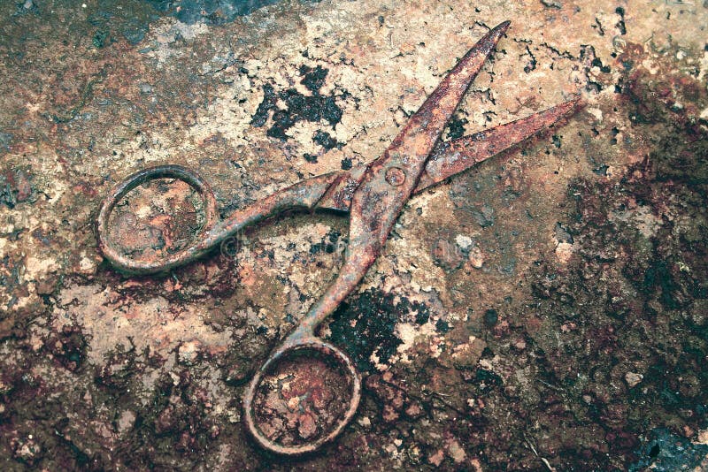 Rusty Scissors Photographed on a Rusty Metal Barrel Lid. Stock Image ...