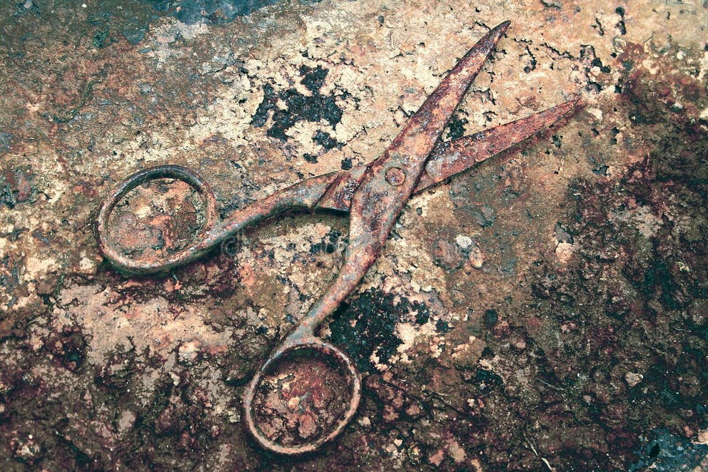 Rusty Scissors Photographed on a Rusty Metal Barrel Lid. Stock Image ...
