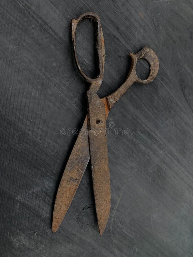 Rusty Scissors Unused on a Gray Background in the Barn Stock Image ...