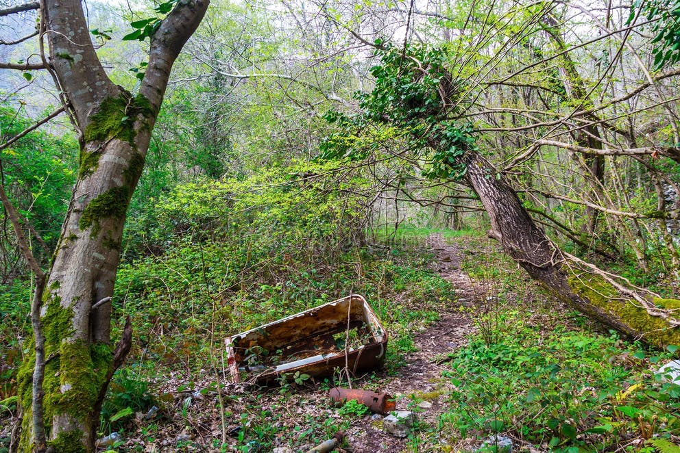 Rusty Scrap Metal in Forest Stock Image - Image of sochi, rust: 70998383