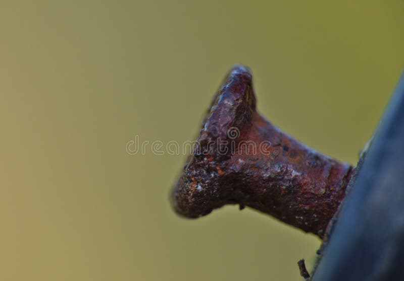 Rusty head stock photo. Image of object, macro, construction - 258738888