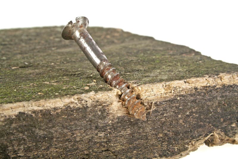 Rusty Screwed into the Old Board Stock Image - Image of concept, craft ...