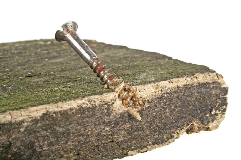 Rusty Screwed into the Old Board Stock Image - Image of drive, machine ...