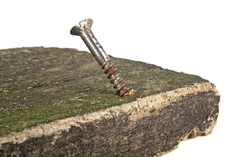 Rusty Screwed into the Old Board Stock Image - Image of lumber, concept ...