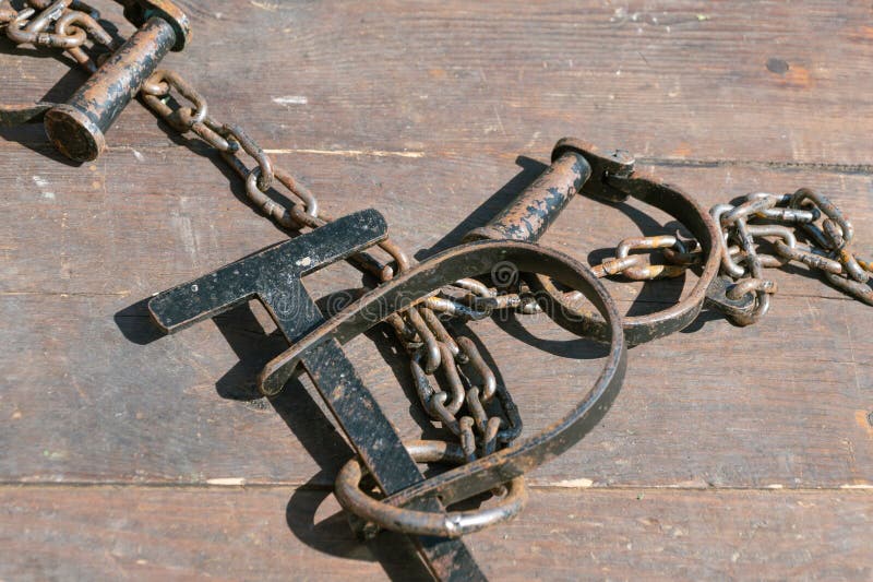 Rusty Shackles with Chains on Wooden Surface Stock Image - Image of ...