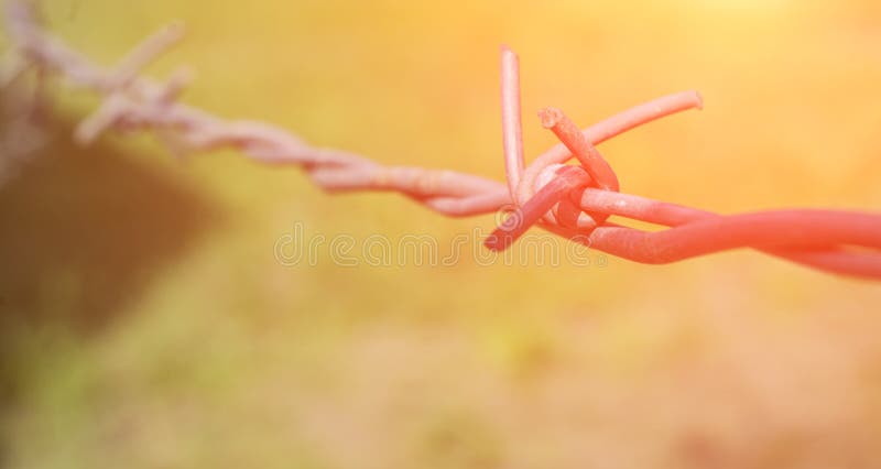 Rusty sharp bare wire stock photo. Image of wire, danger - 121603394
