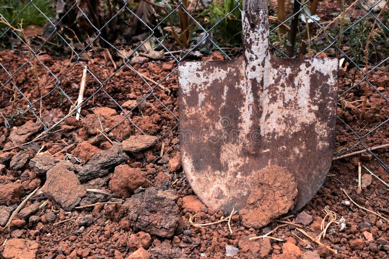 Rusty Shovel Used for Digging in the Soil Stock Image - Image of rusty ...