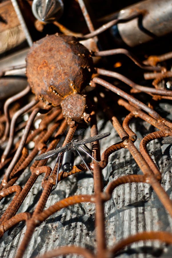 Rusty Spider and Trapped Fly Stock Photo - Image of weave, radiator ...