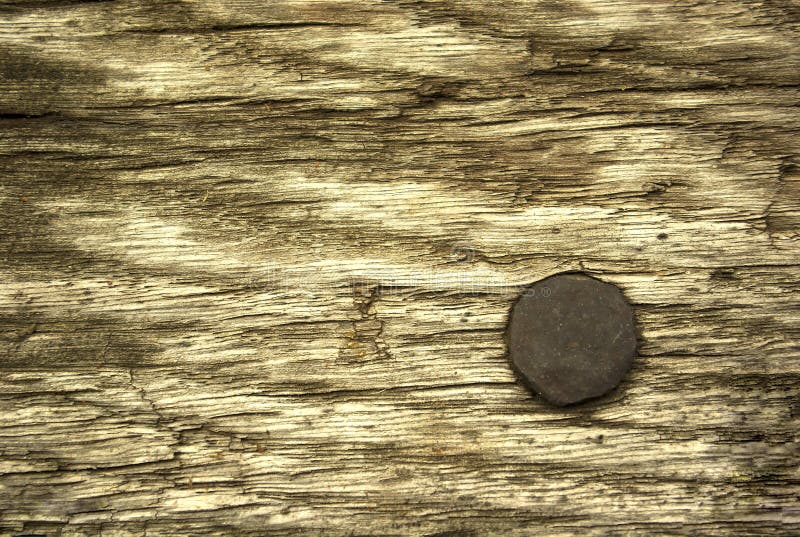 Rusty steel pin stock photo. Image of corrosion, woods - 7031146