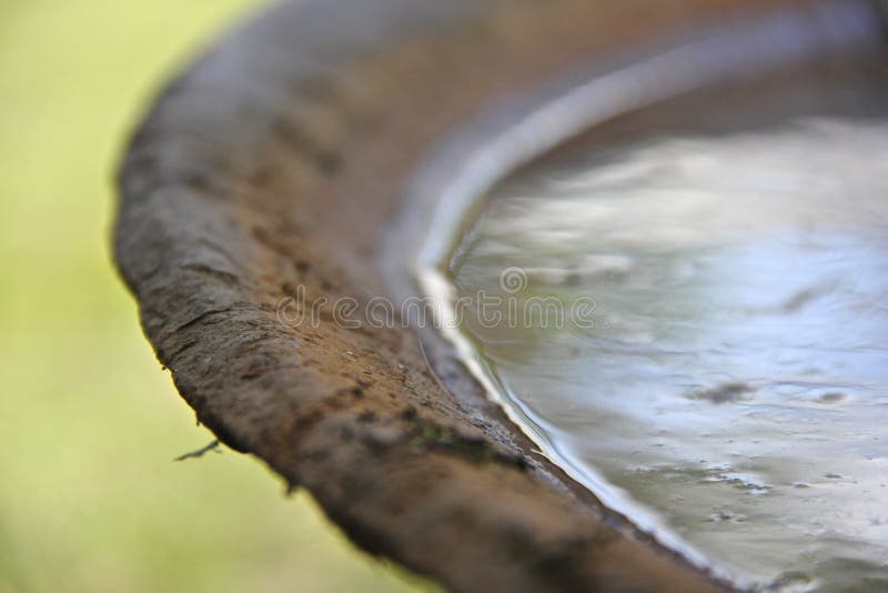 Rusty Sugarcane Kettle stock photo. Image of rusty, green - 50110924