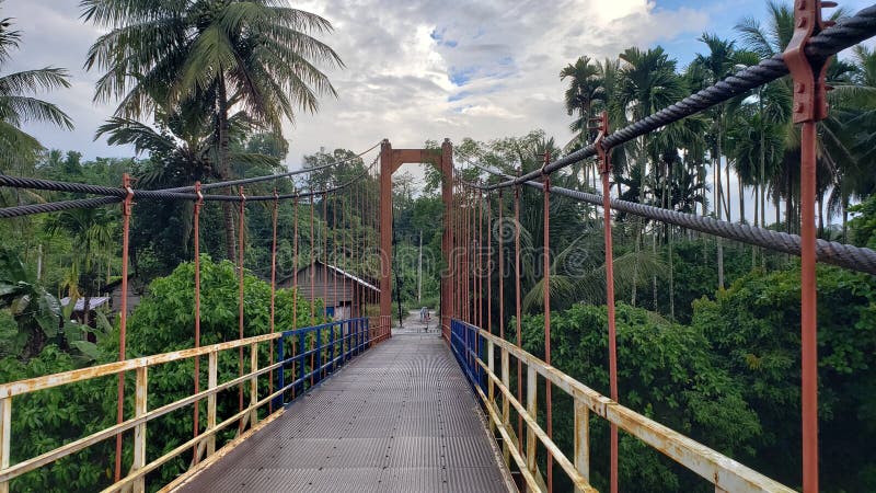 Rusty Suspension Bridge Over Lush Green Canopy Stock Photo - Image of ...