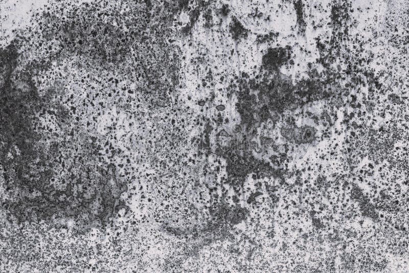 Rusty Texture of Gray Color with a Natural Abstract Pattern Stock Photo ...