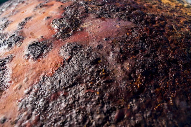 Rusty Texture on a Metallic Maritime Ball Stock Image - Image of port ...