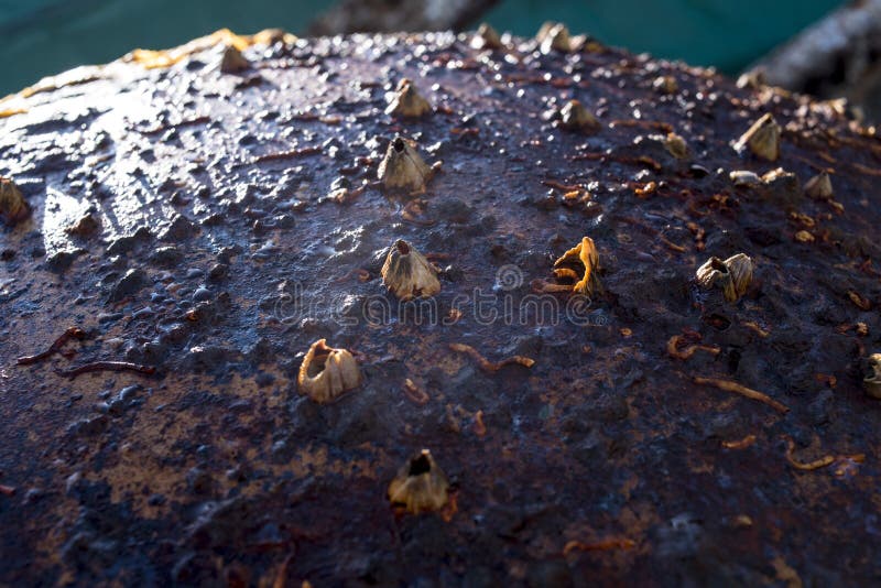 Rusty Texture on a Metallic Maritime Ball Stock Image - Image of metal ...