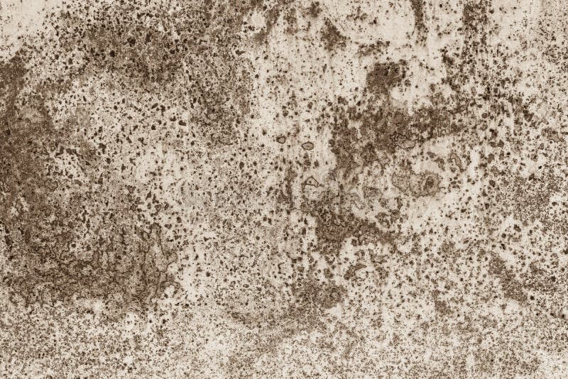 Rusty Texture of Sepia Color with a Natural Abstract Pattern Stock ...