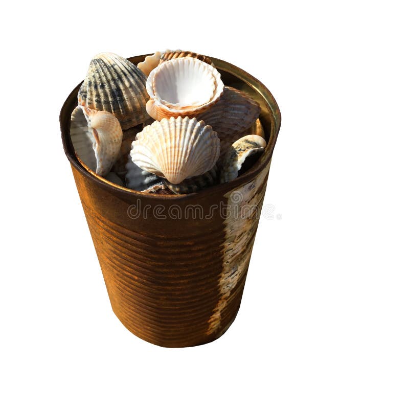 Rusty Tin Can with Shells Inside Stock Illustration - Illustration of ...