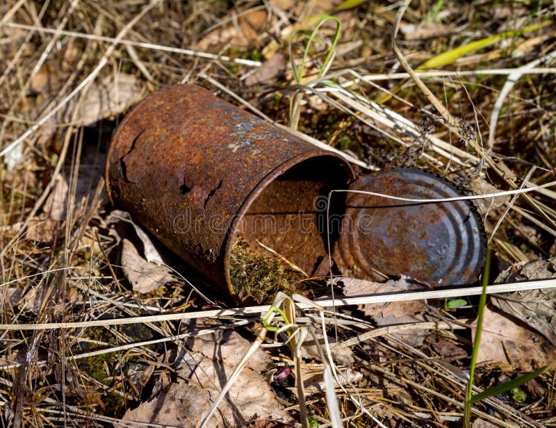 Rusty tin can in the woods stock photo. Image of forest - 168711188