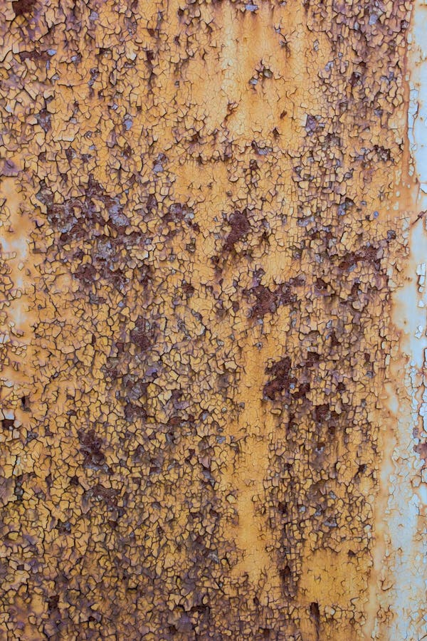Rusty tin stock image. Image of close, color, scale, rusty - 61981417