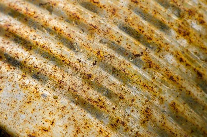 Rusty Tin Texture Stock Images - Download 5,272 Royalty Free Photos