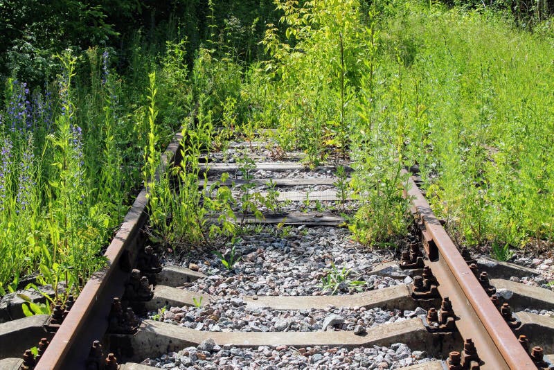Rusty track rails. stock image. Image of outdoors, scenics - 95458575