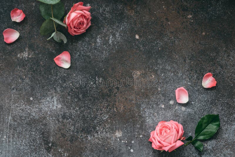 Rusty Vintage Background with Pink Roses Stock Image - Image of plant ...