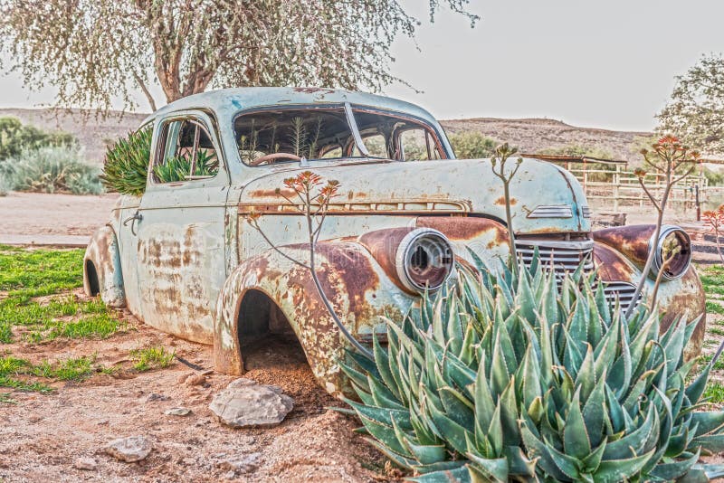Rusty Vintage Car in Namibia Stock Photo - Image of plant, sand: 55857112