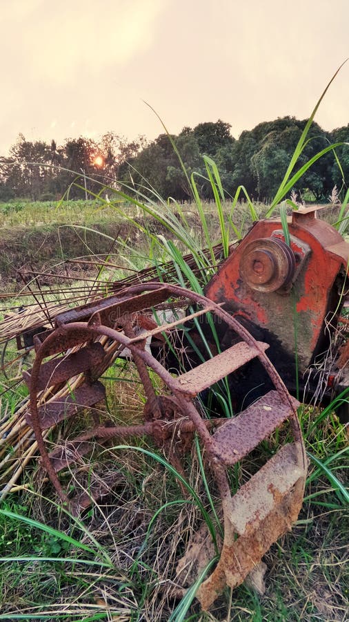 Rusty Water Wheel in the Rice Field Stock Photo - Image of rusty, field ...