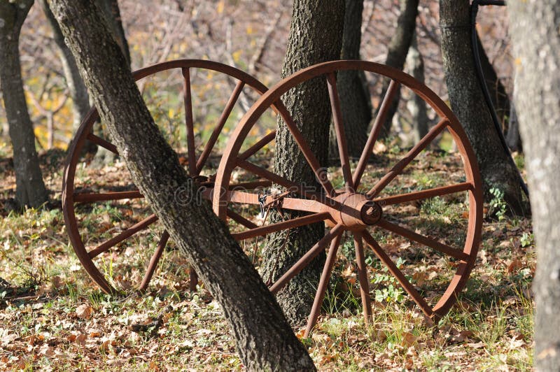 Rusty Wheels Old Wagon in Forest Stock Image - Image of nice, forest ...