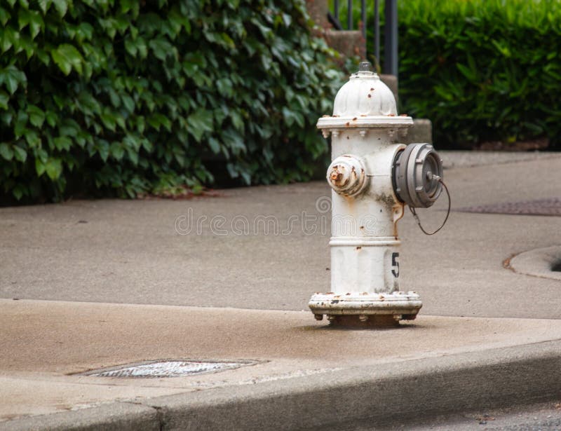 A rusty white fire hydrant stock photo. Image of water - 320717436