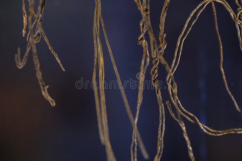 Rusty wire composition stock photo. Image of wire, metal - 90189714