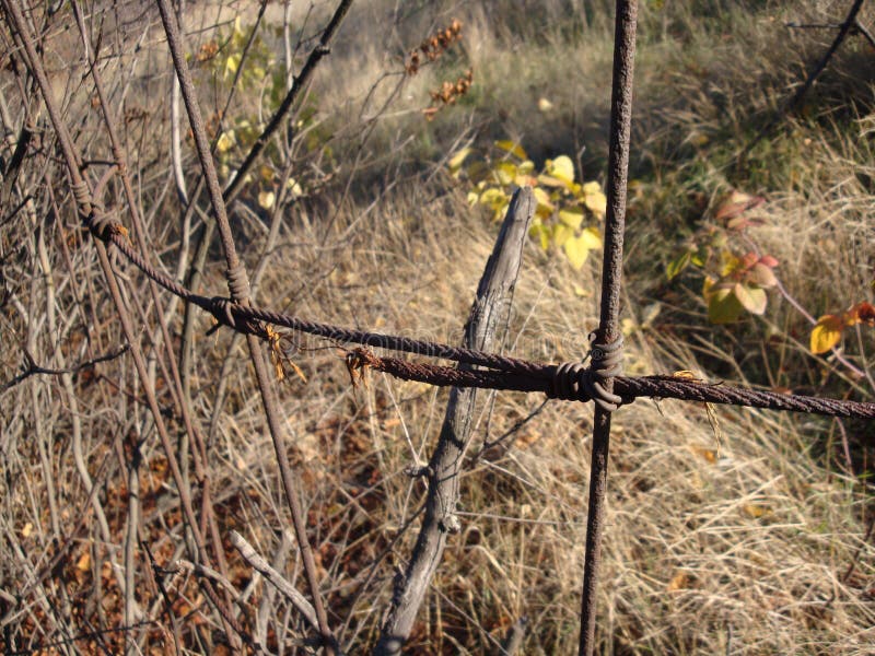 Rusty Wire Fence on the Background Stock Photo - Image of gray ...