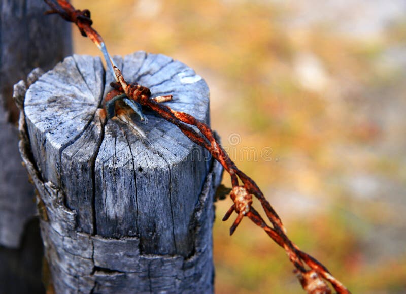 Rusty wire II stock image. Image of barbed, tied, wire - 2803231