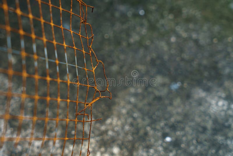 Rusty wire mesh stock image. Image of micro, mesh, distort - 197050753