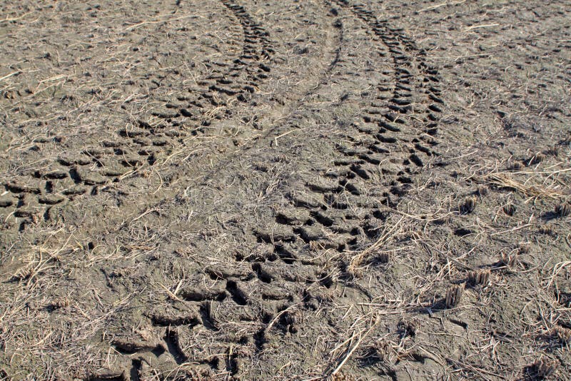 Rut Imprinting in the Fields Stock Image - Image of ground, mixed: 27470427
