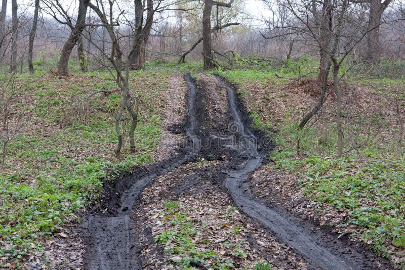 Rut road stock photo. Image of earth, beauty, country - 27827246