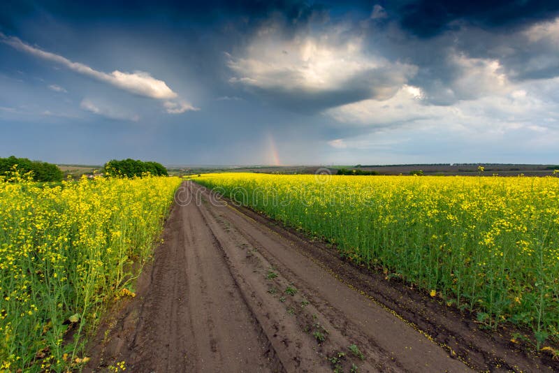 Rut Road Across Field before Thunderstorm Stock Photo - Image of ...