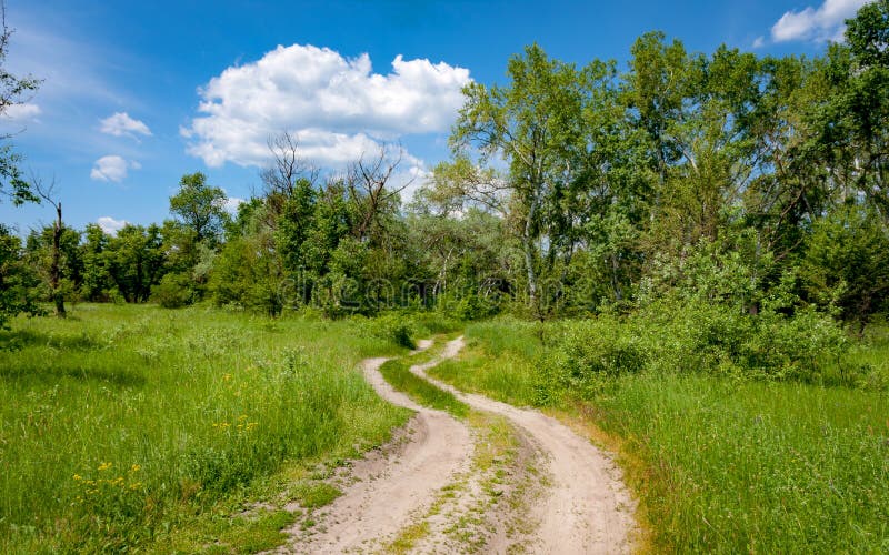 Rut road in steppe stock image. Image of color, road - 80390379