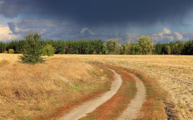 Rut road in steppe stock image. Image of nature, beautiful - 199116689