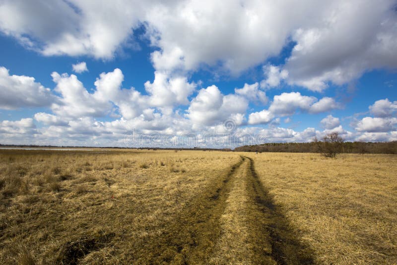 Rut road in steppe stock image. Image of cane, path, countryside - 51295349