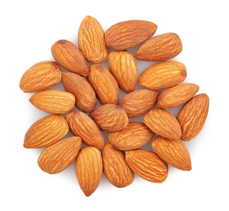 Ruta de almendra aislada imagen de archivo. Imagen de tuerca - 250891581