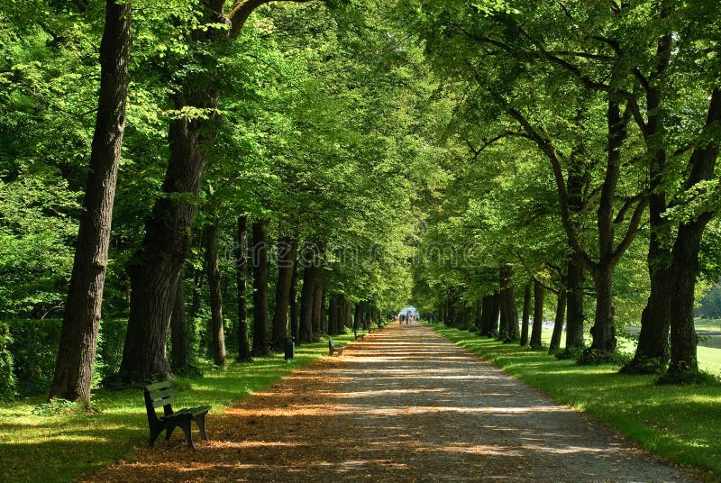 Ruta verde imagen de archivo. Imagen de verde, camino - 10476873