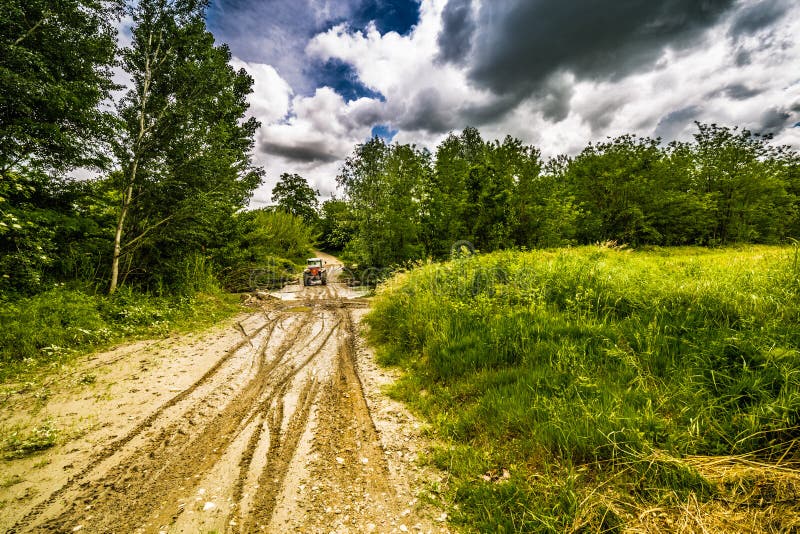 Ruts in the mud by tractor stock photo. Image of trees - 71936950