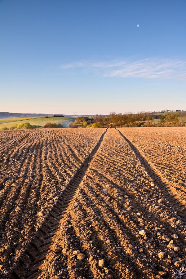 Ruts in plowed field stock image. Image of environment - 70776531