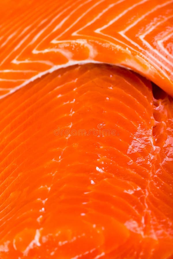 Ruwe Verse Zalm stock foto. Image of vissen, diner, rood - 20932634
