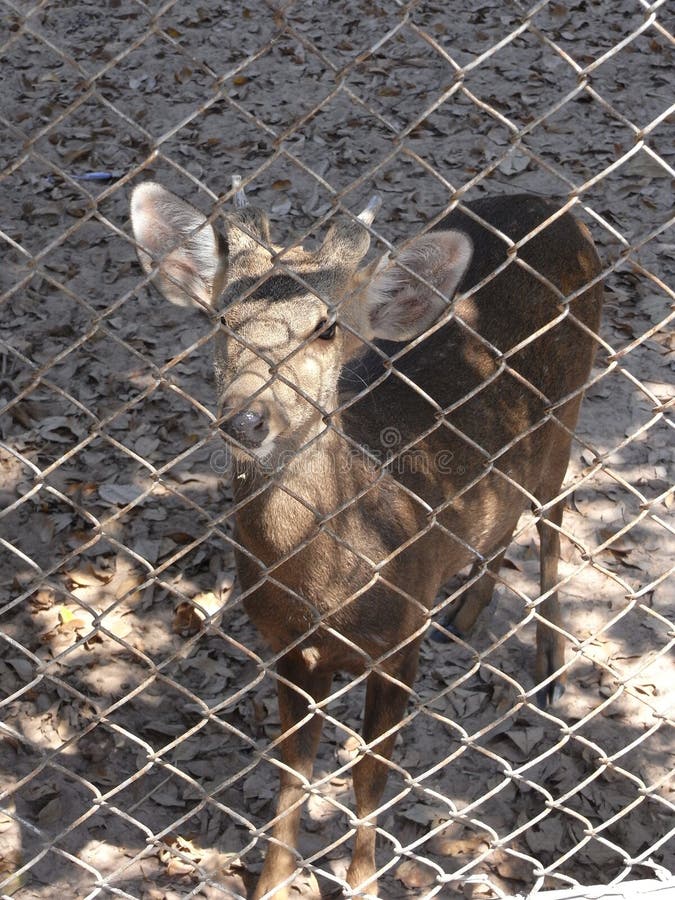 Ruza stock photo. Image of head, background, depression - 182696210