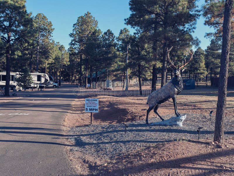 RV Camp at Heber Overgaard Arizona Stock Photo - Image of street ...